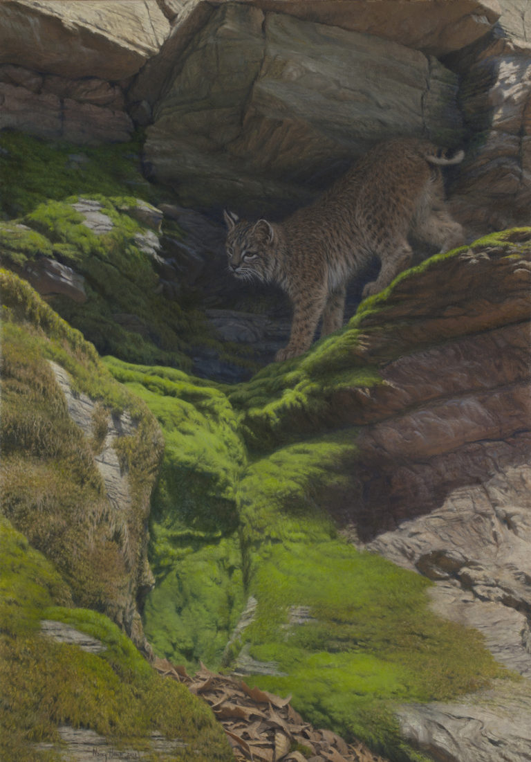 Original Art - Nancy Howe